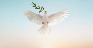 17 POWERFUL PRAYER POINTS TO ACTIVATE FRESH ANOINTING OF HOLY SPIRIT ...